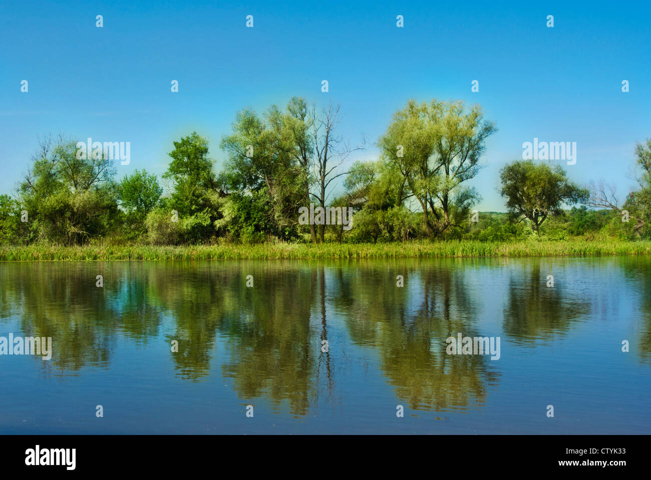 Trees along river hi-res stock photography and images - Alamy