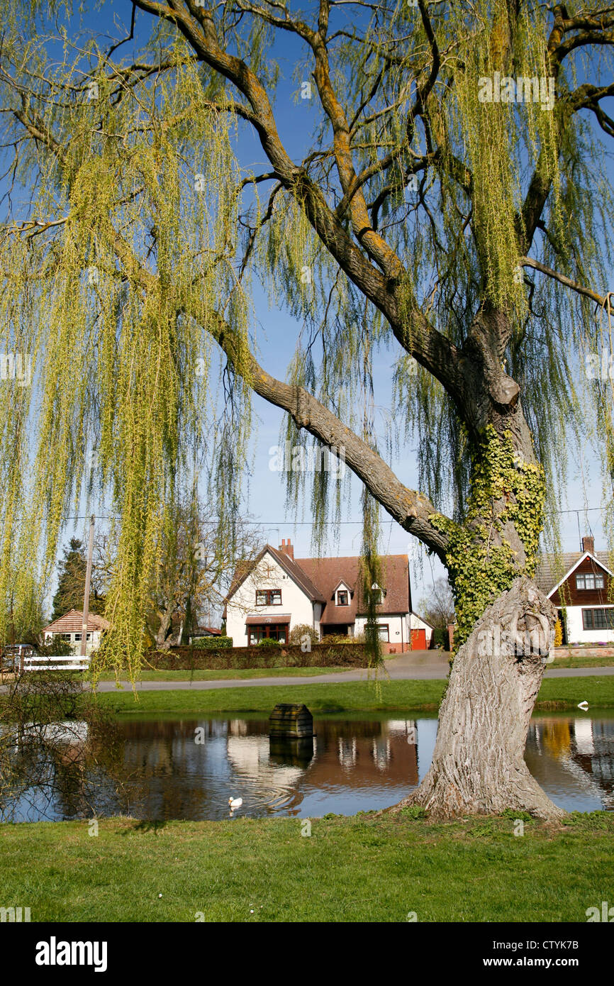 Wicken hi-res stock photography and images - Alamy