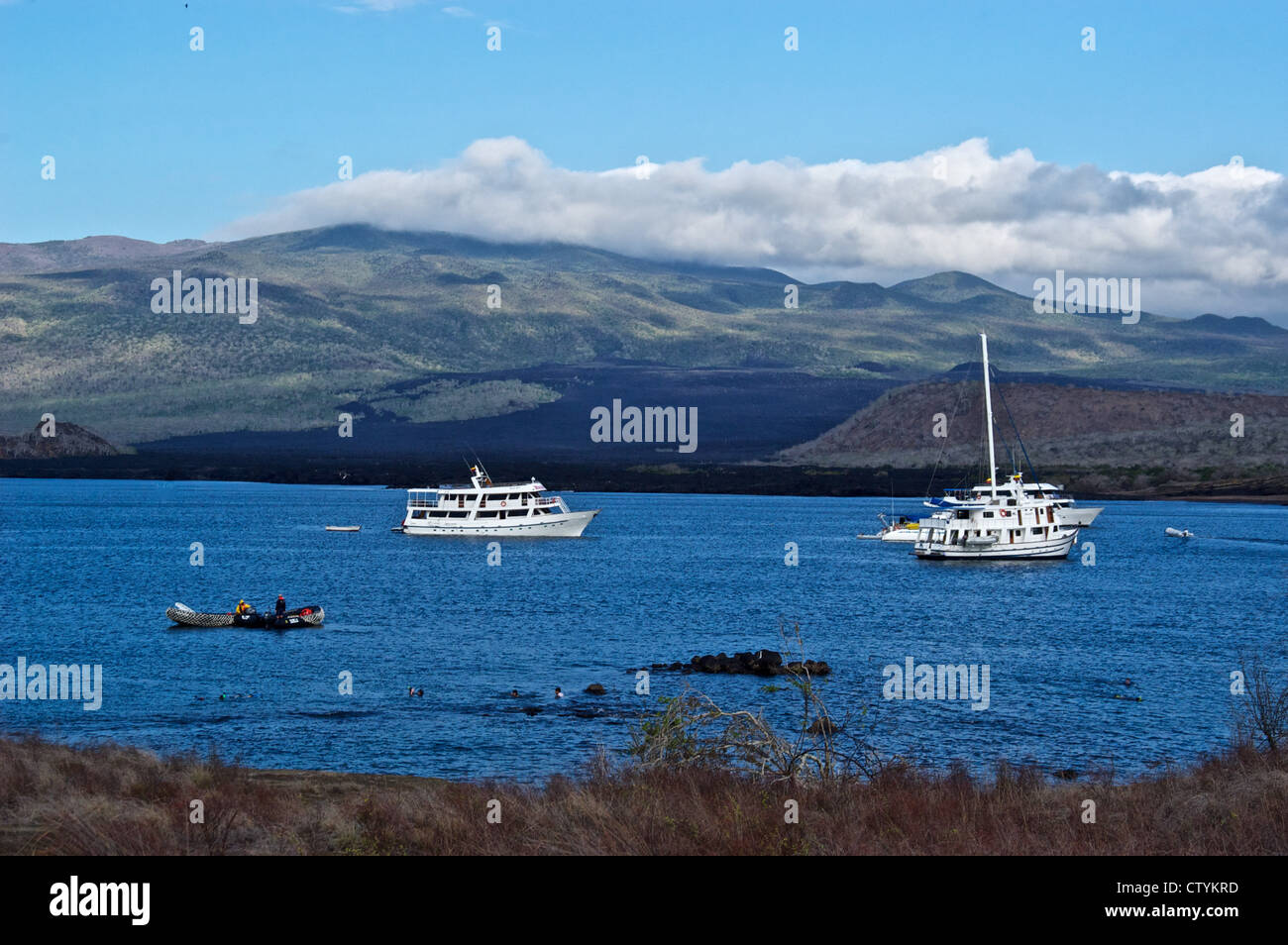 Landscape of Galapagos, Ecuador Stock Photo - Alamy