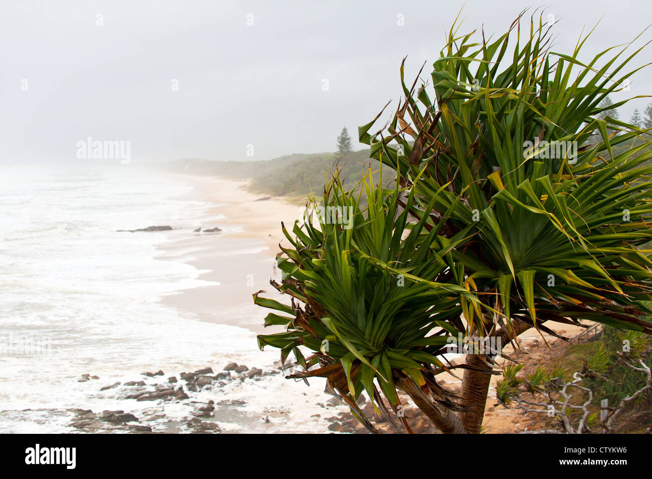 Mist over Yaroomba Beach seen from Arkwright Point Stock Photo - Alamy