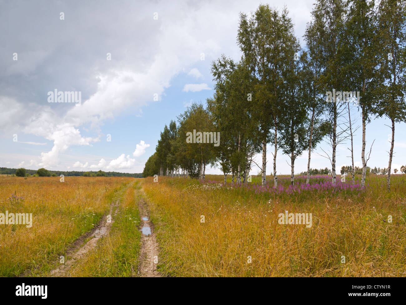 Russian rural landscape with dirt road along the field and bright ...