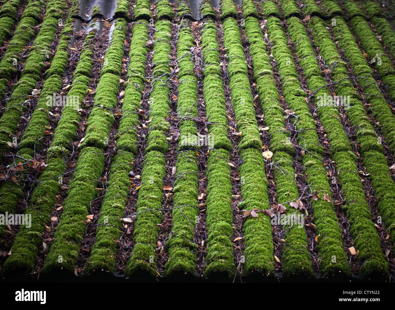 Bright green roof hi-res stock photography and images - Alamy