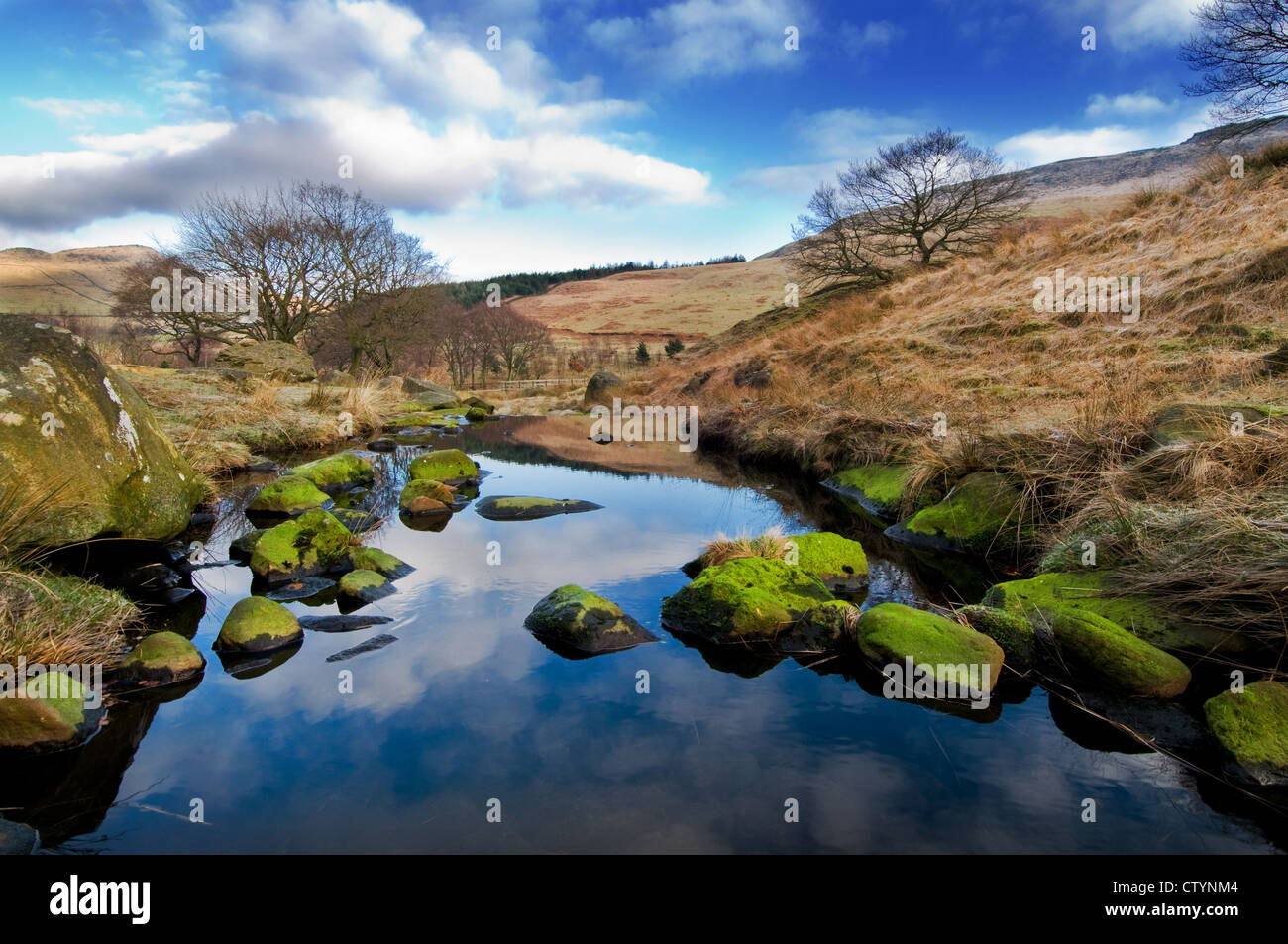 Reflection of sky and clouds in a stream of water with algae covered ...