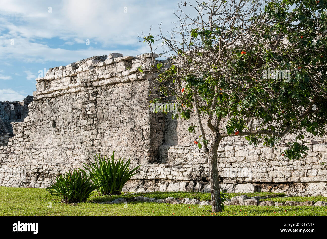 Tulum Maya archaeological site, Tulum, Riviera Maya, Quintana Roo ...