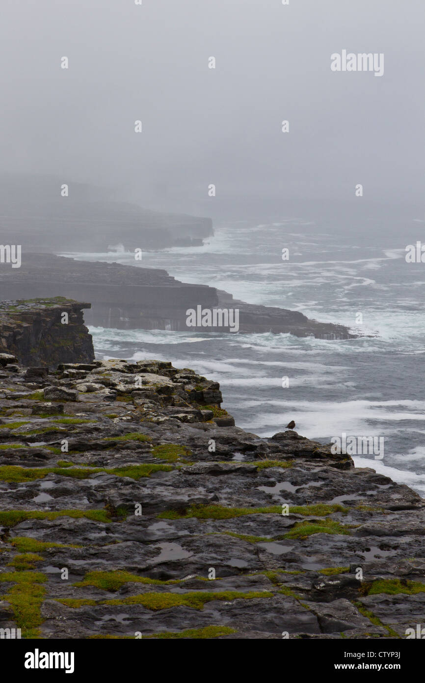 Rocky cliff stormy sea hi-res stock photography and images - Alamy