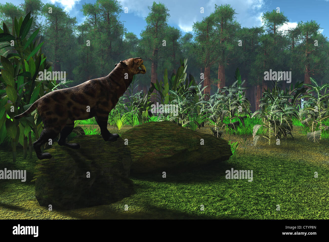 Smilodon hi-res stock photography and images - Alamy