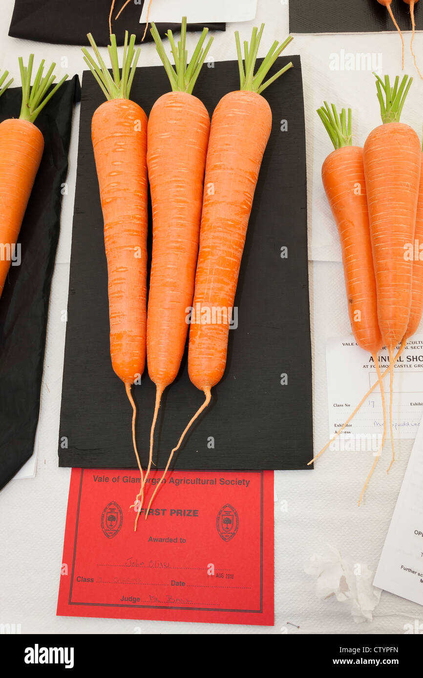 Prize winning carrots at horticultural show Stock Photo - Alamy