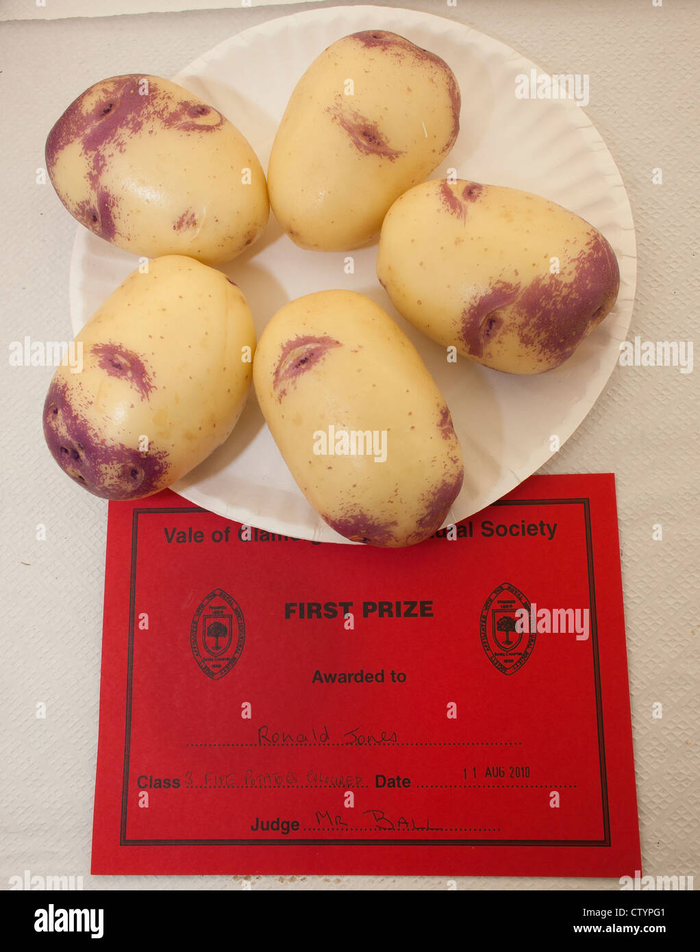 Prize winning potatoes at horticultural show Stock Photo - Alamy