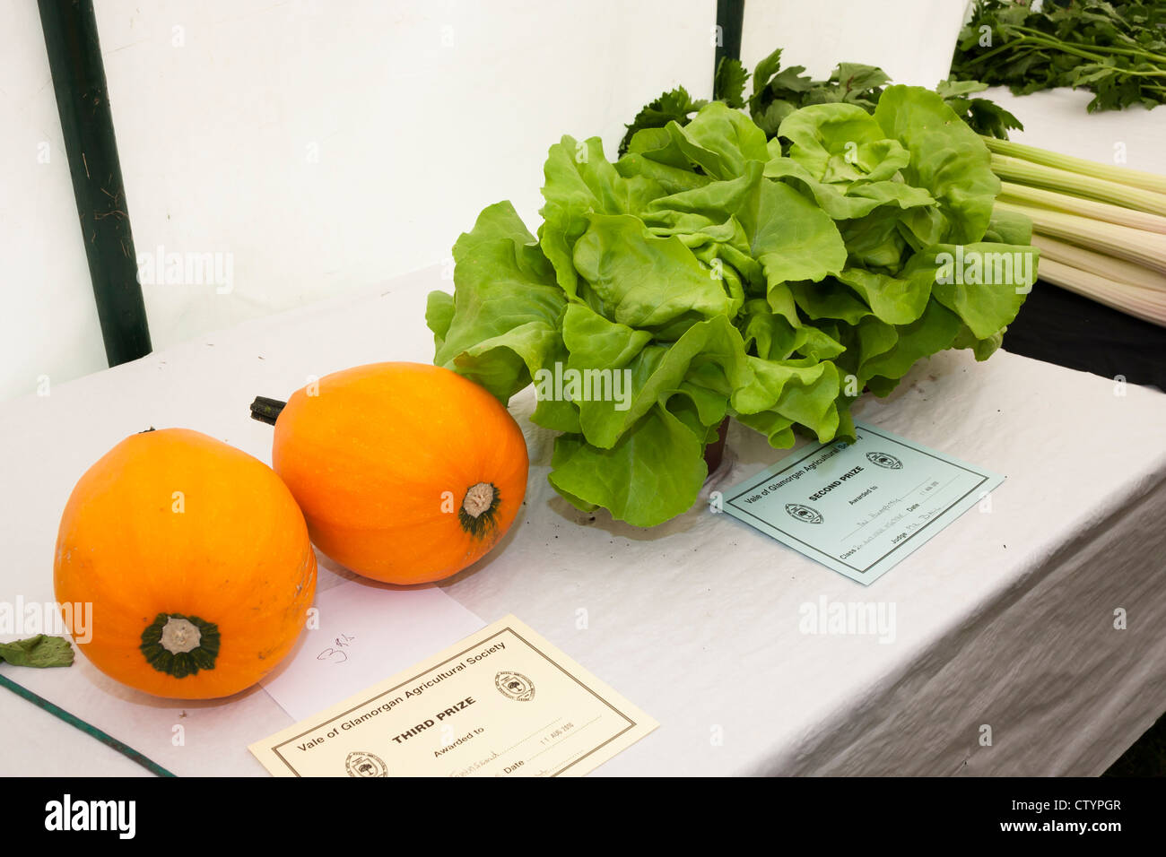 Prize winning squash and lettuce at horticultural show Stock Photo - Alamy