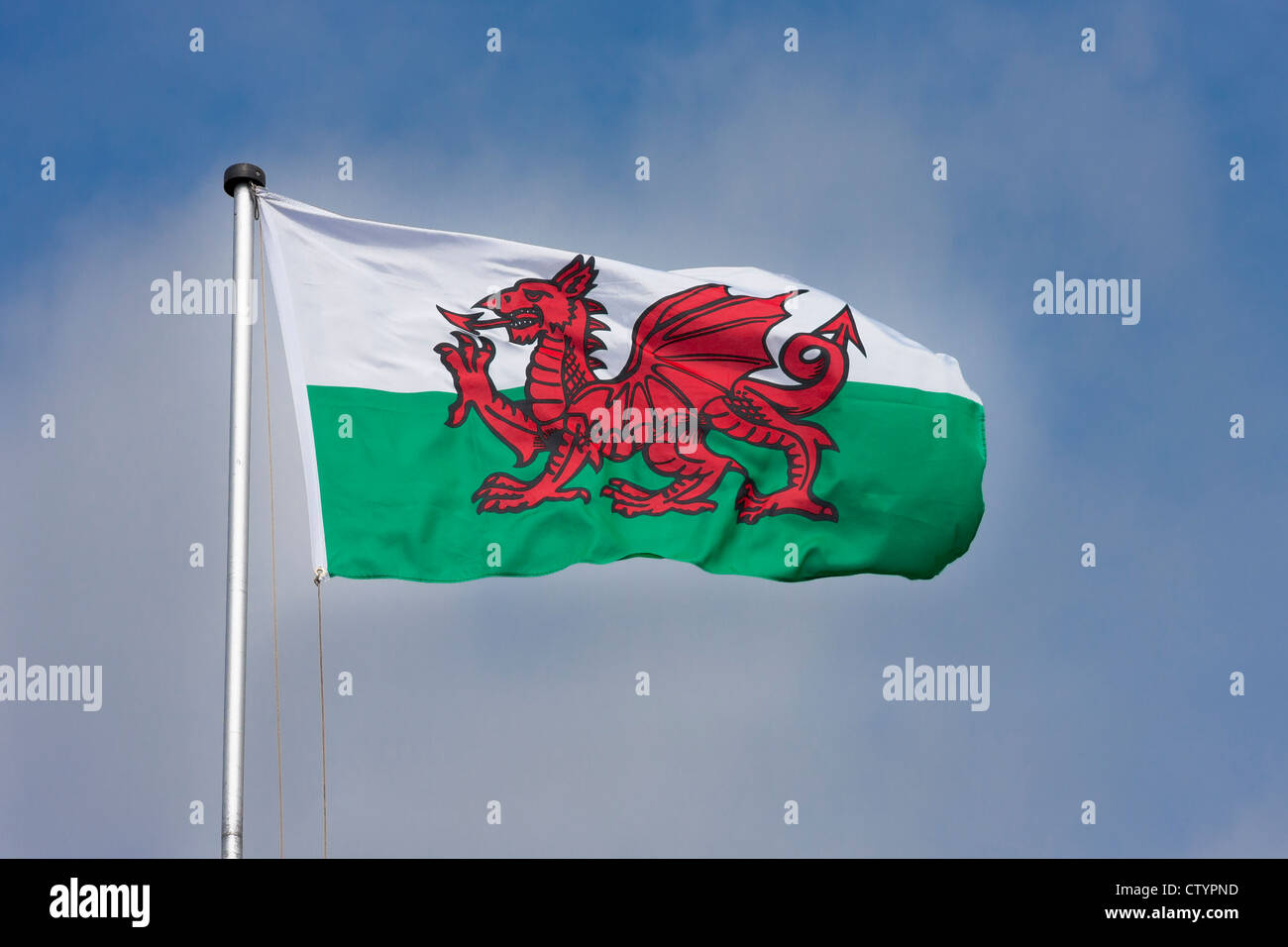 Welsh national flag flying in breeze Stock Photo - Alamy