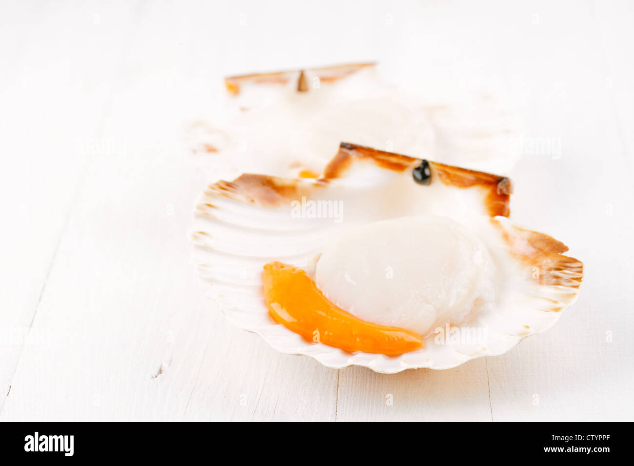 two open raw scallops, on white wooden backdrop, seafood Stock Photo ...