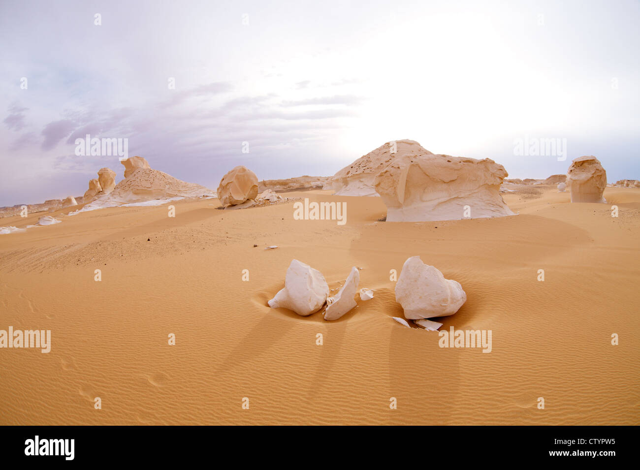 The limestone formation rocks in the White Desert, Egypt Stock Photo ...
