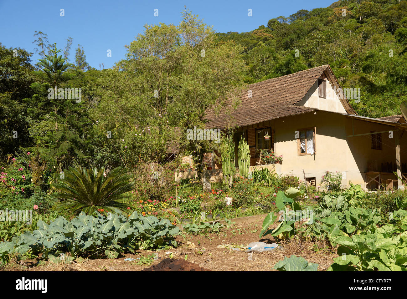 German-style farmhouse in the rural area of Blumenau Stock Photo - Alamy