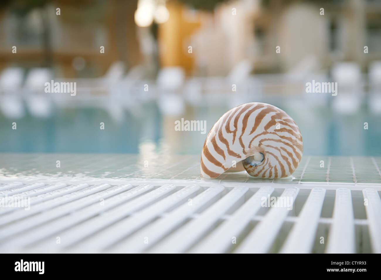 Hotel nautilus hi-res stock photography and images - Alamy