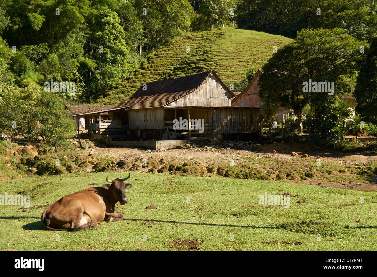 Wooden farmhouse in the German immigrant region of Brazil Stock Photo ...