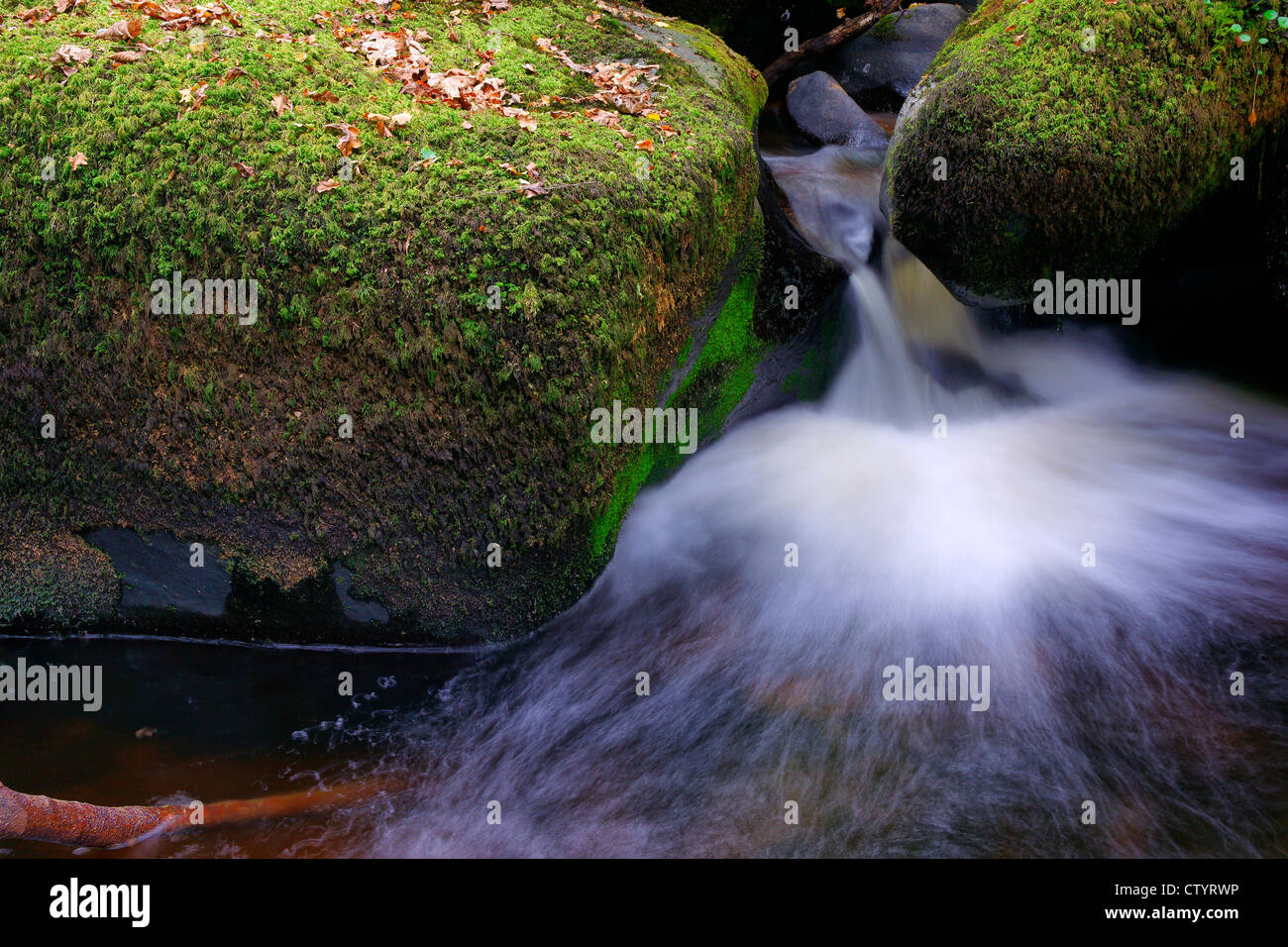 Becky falls dartmoor hi-res stock photography and images - Alamy