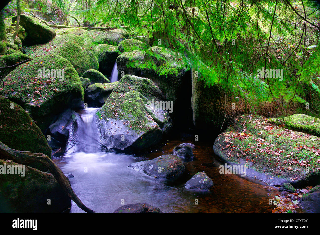 Becky falls dartmoor hi-res stock photography and images - Alamy