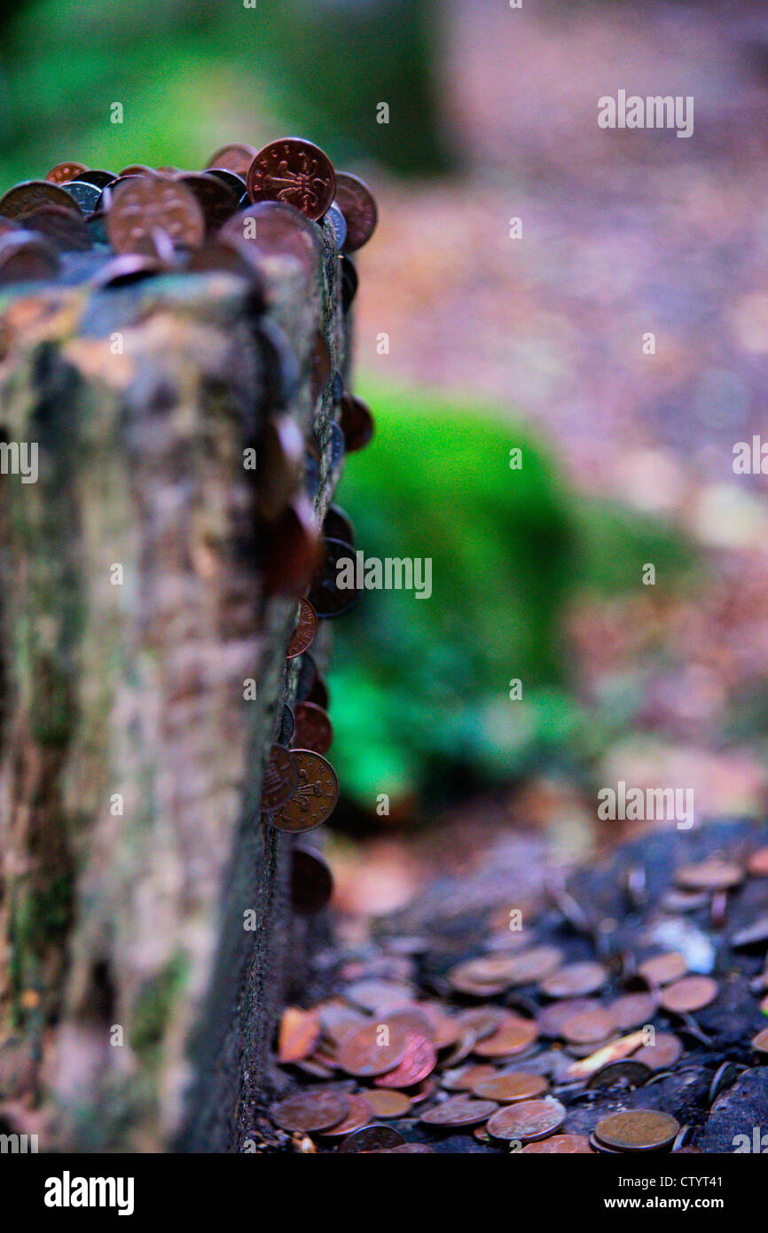 Some beautiful views of Becky falls, Dartmoor Stock Photo - Alamy
