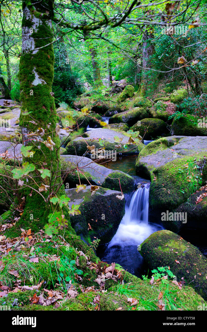 Some beautiful views of Becky falls, Dartmoor Stock Photo - Alamy