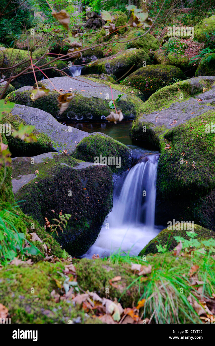 Some beautiful views of Becky falls, Dartmoor Stock Photo - Alamy