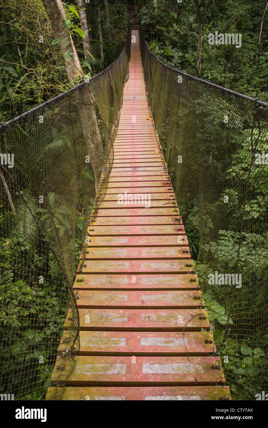 Panama rain forest bridge 50 miles outside of panama city Stock Photo ...
