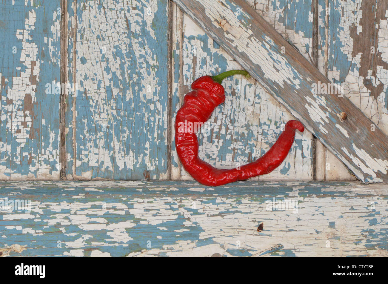 curly red pepper that Luke was drying Stock Photo - Alamy