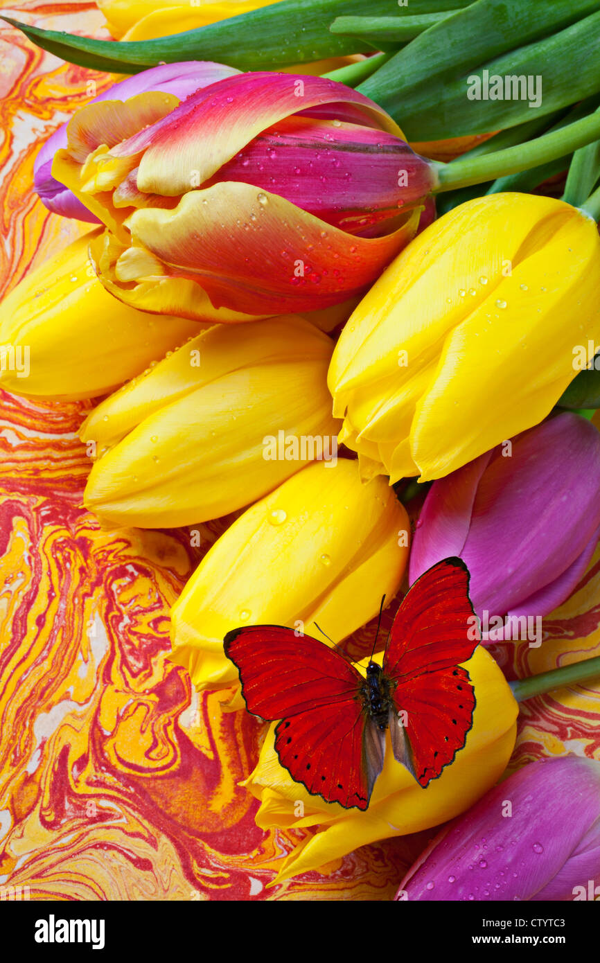 Red butterfly hi-res stock photography and images - Alamy