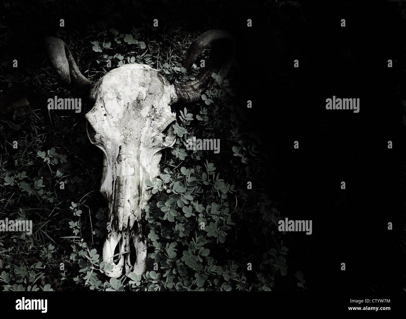 Relief agent hi-res stock photography and images - Alamy