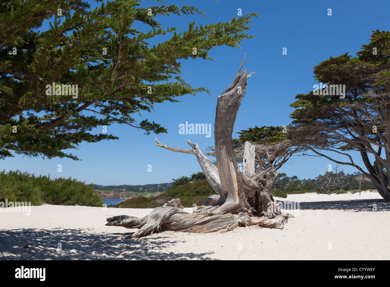 Carmel by the sea california beach hi-res stock photography and images ...