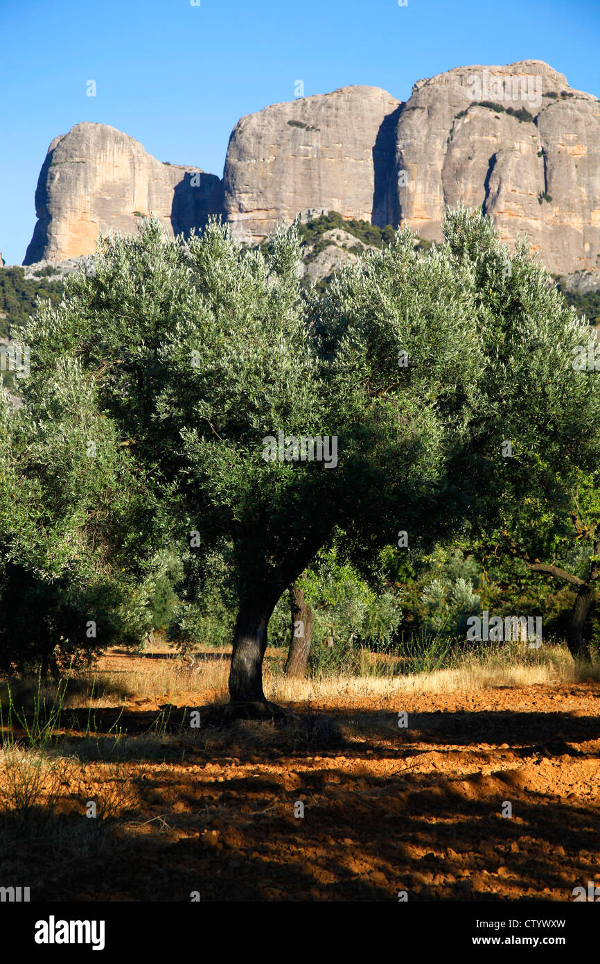 Horta de sant joan architecture hi-res stock photography and images - Alamy