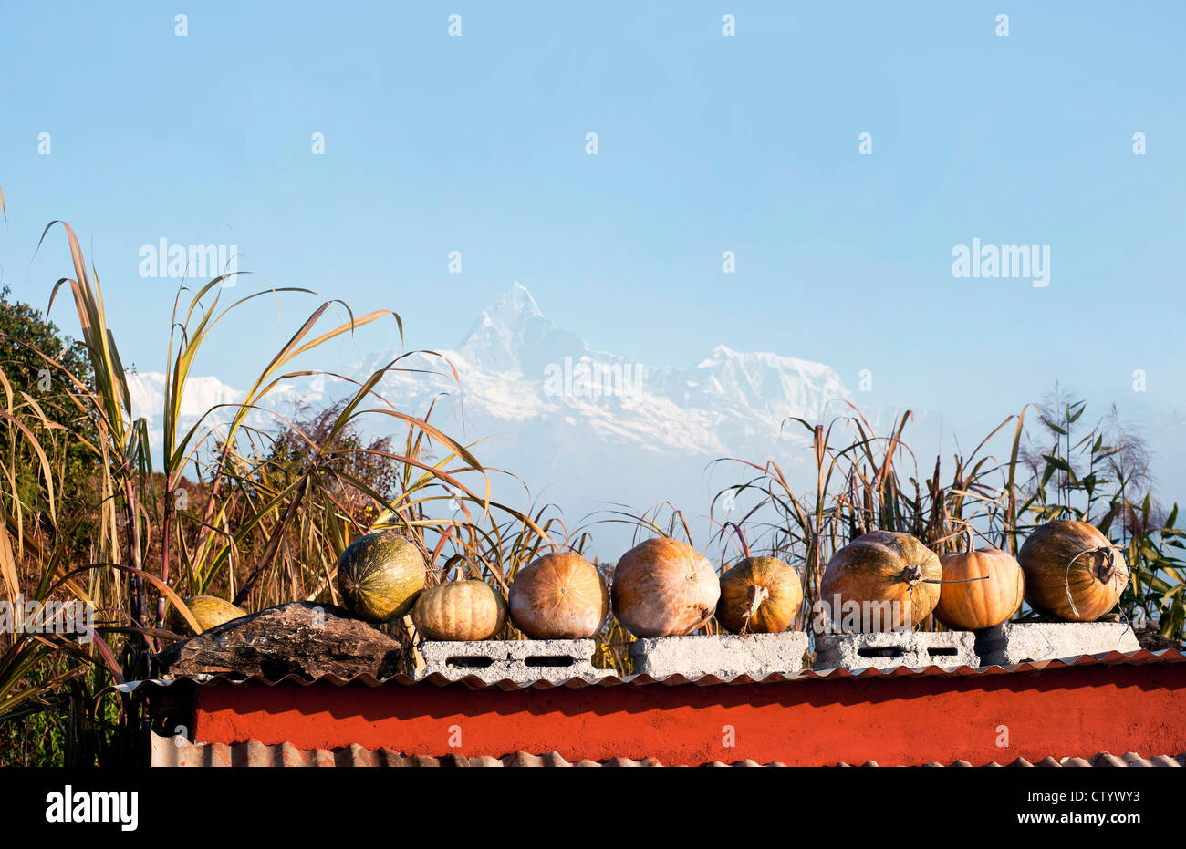 Fishtail plateau hi-res stock photography and images - Alamy