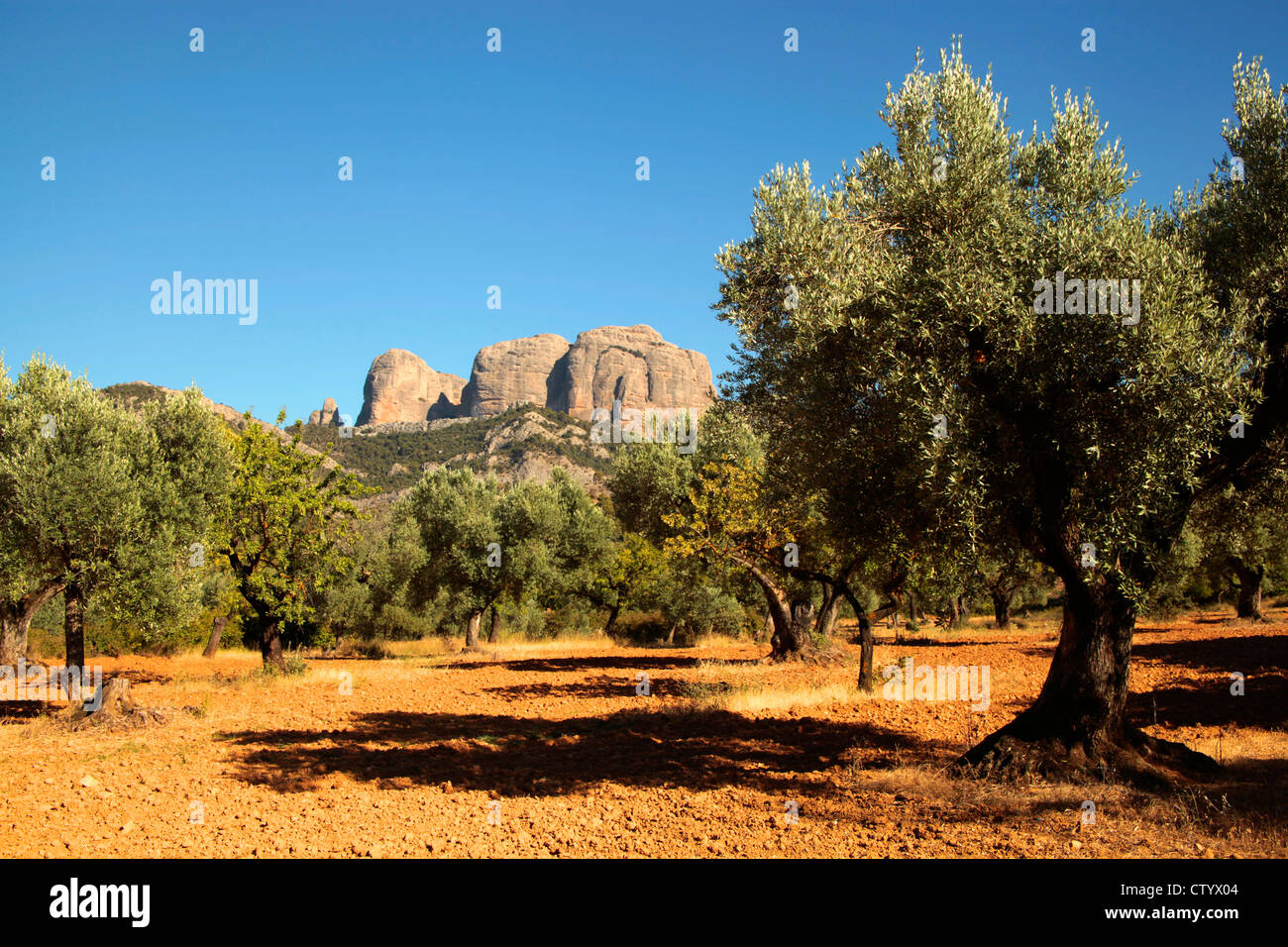 Horta de sant joan history hi-res stock photography and images - Alamy