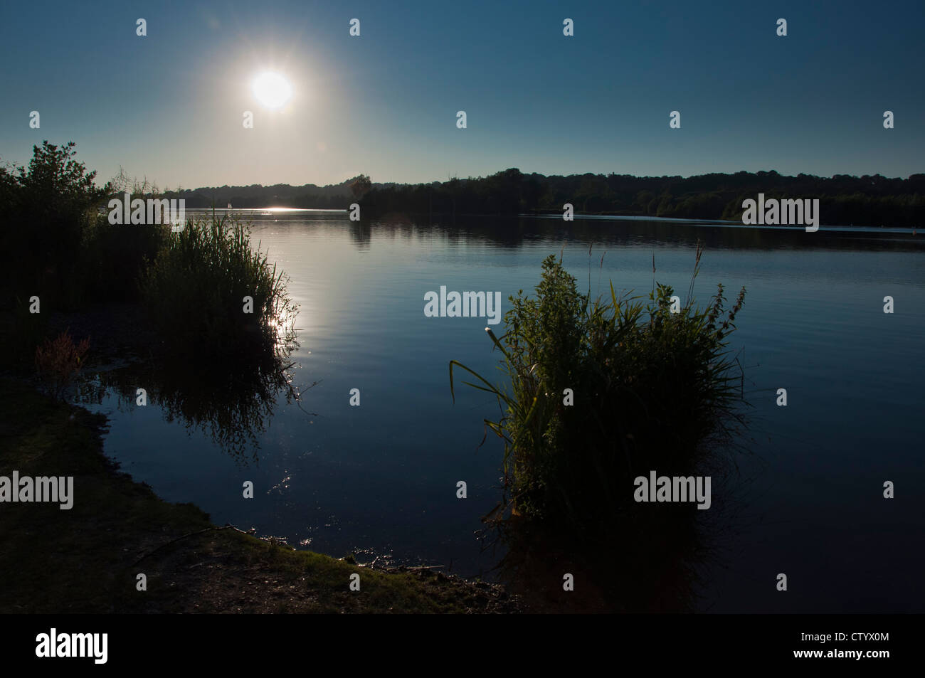 Whitlingham Great Broad Stock Photo - Alamy