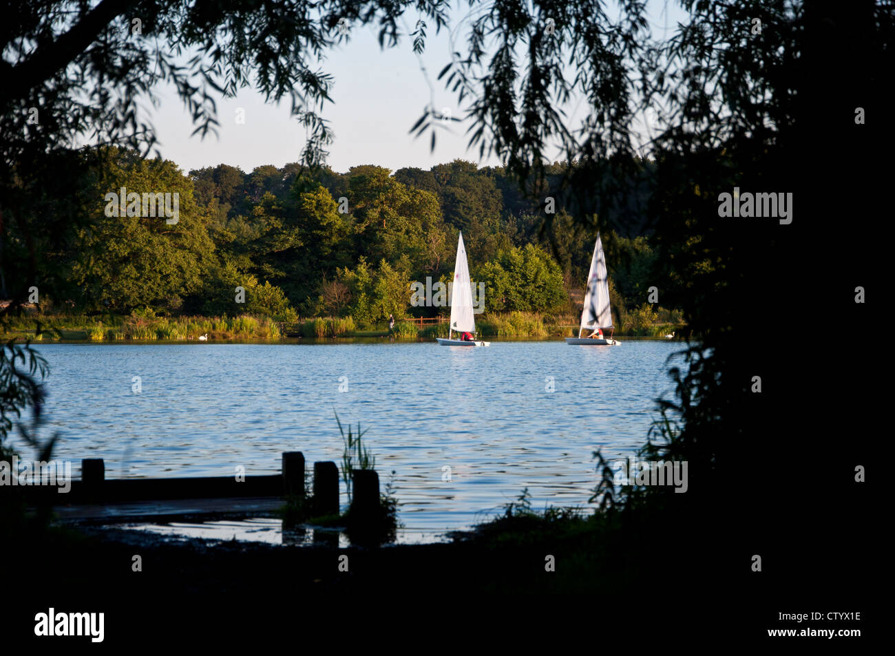 Whitlingham great broad hi-res stock photography and images - Alamy