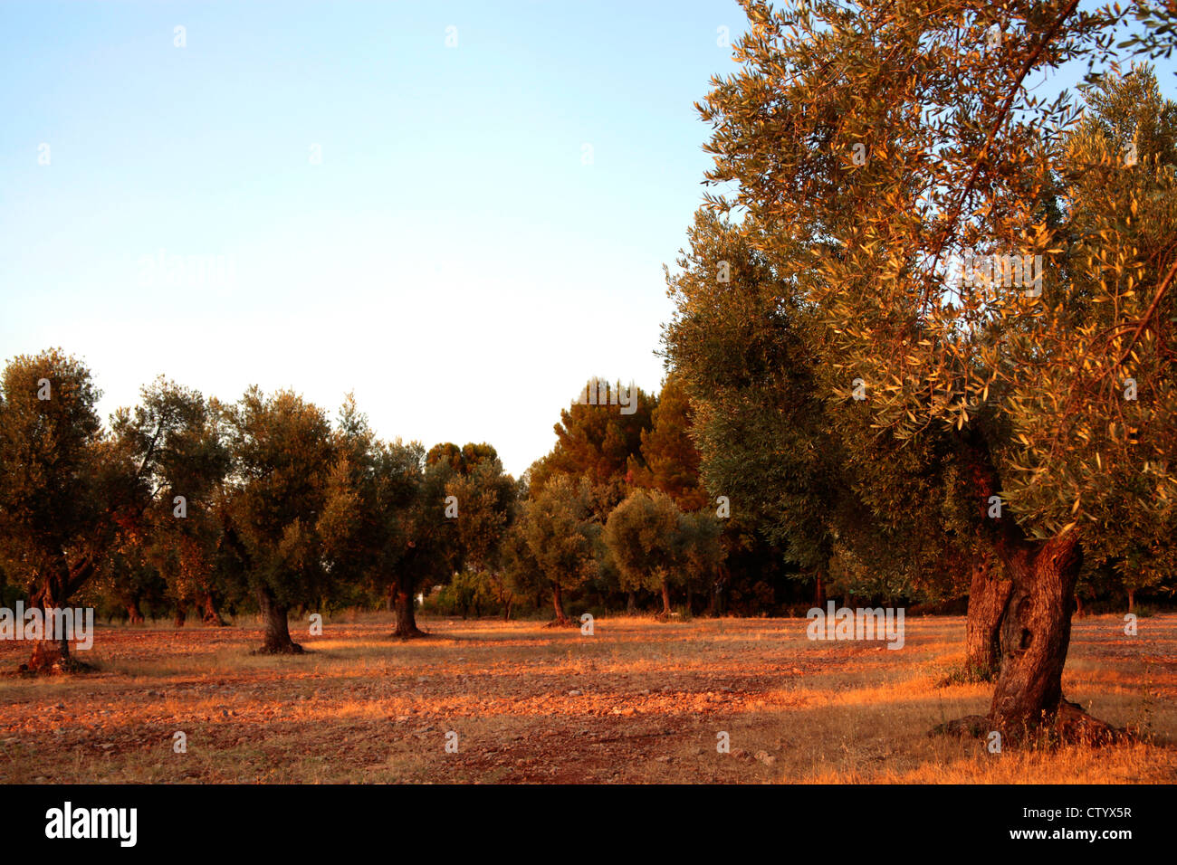 Horta de sant joan village hi-res stock photography and images - Alamy