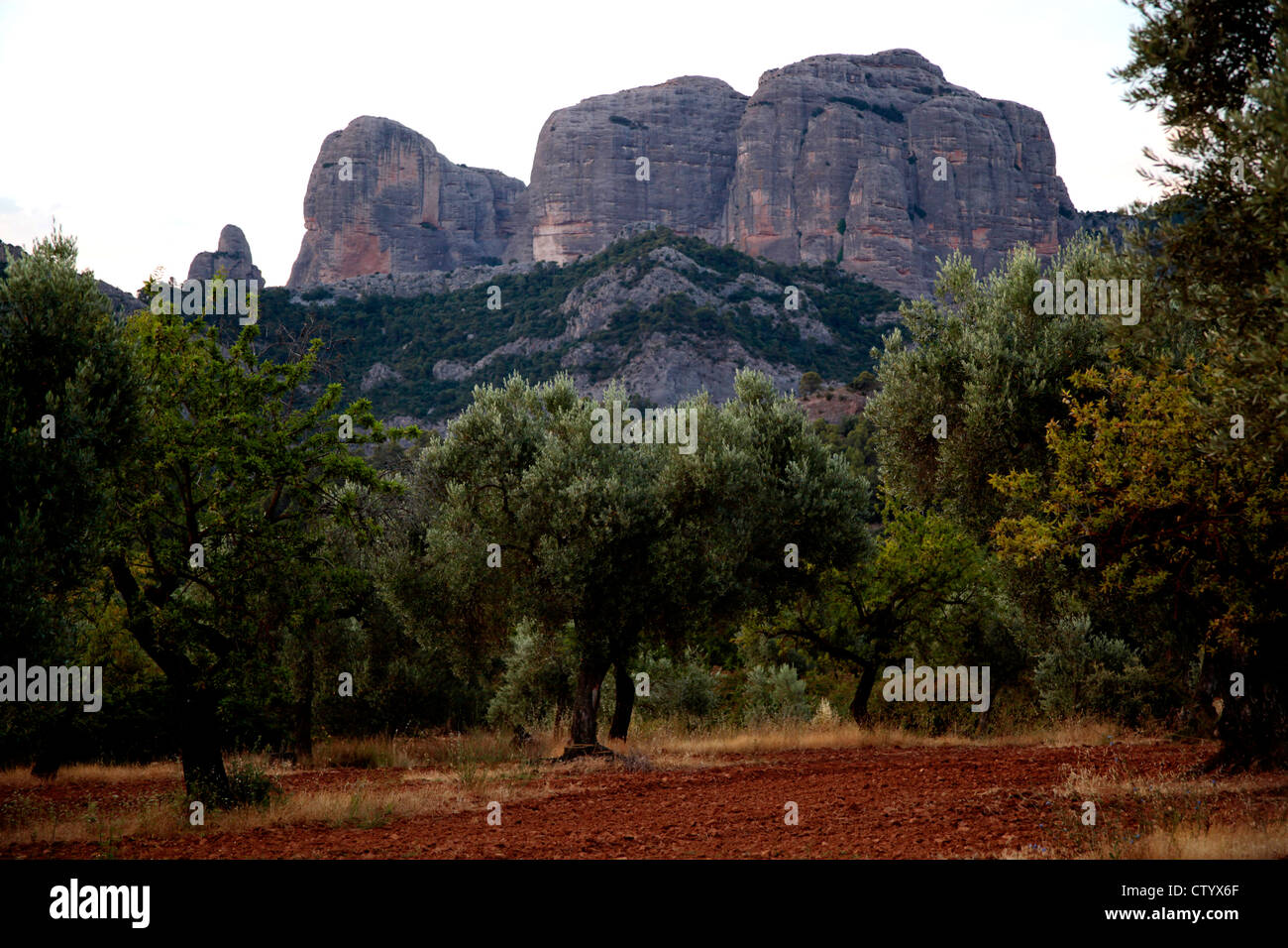Horta de sant joan history hi-res stock photography and images - Alamy