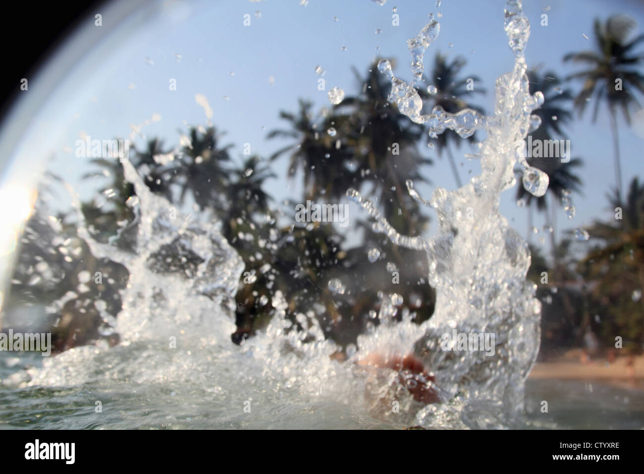 Water splashing on the tree hi-res stock photography and images - Alamy