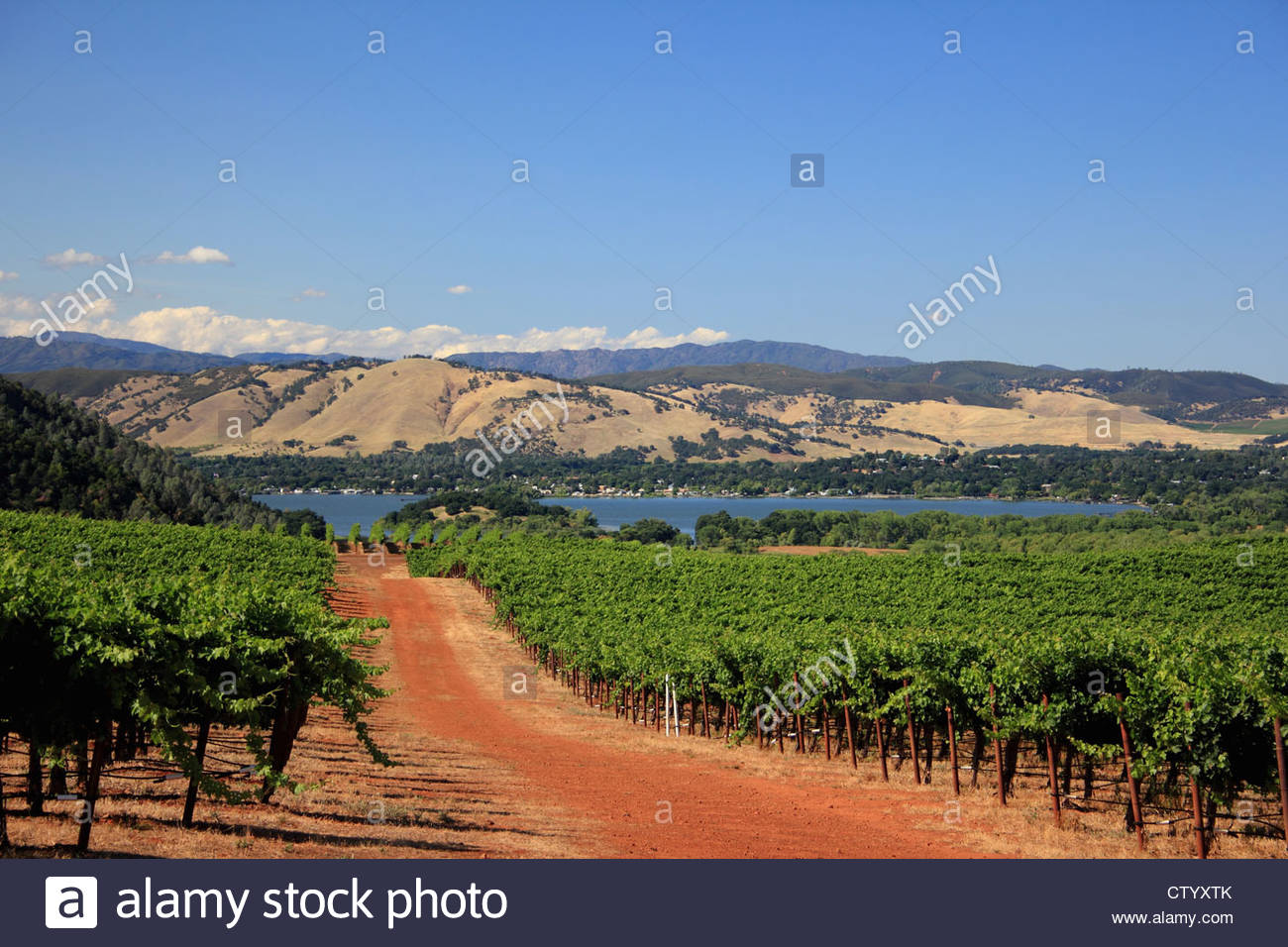 Vineyard Lake High Resolution Stock Photography and Images - Alamy