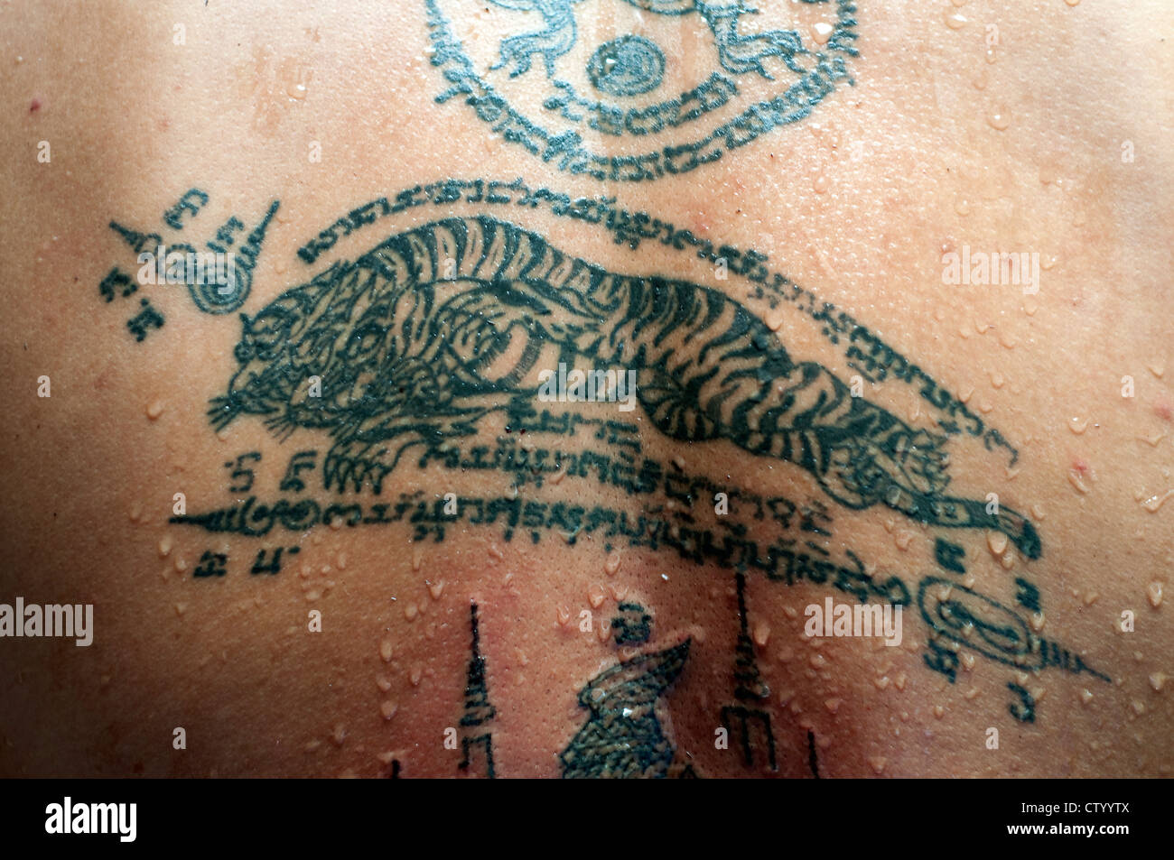 Tiger headed tattoo hi-res stock photography and images - Alamy