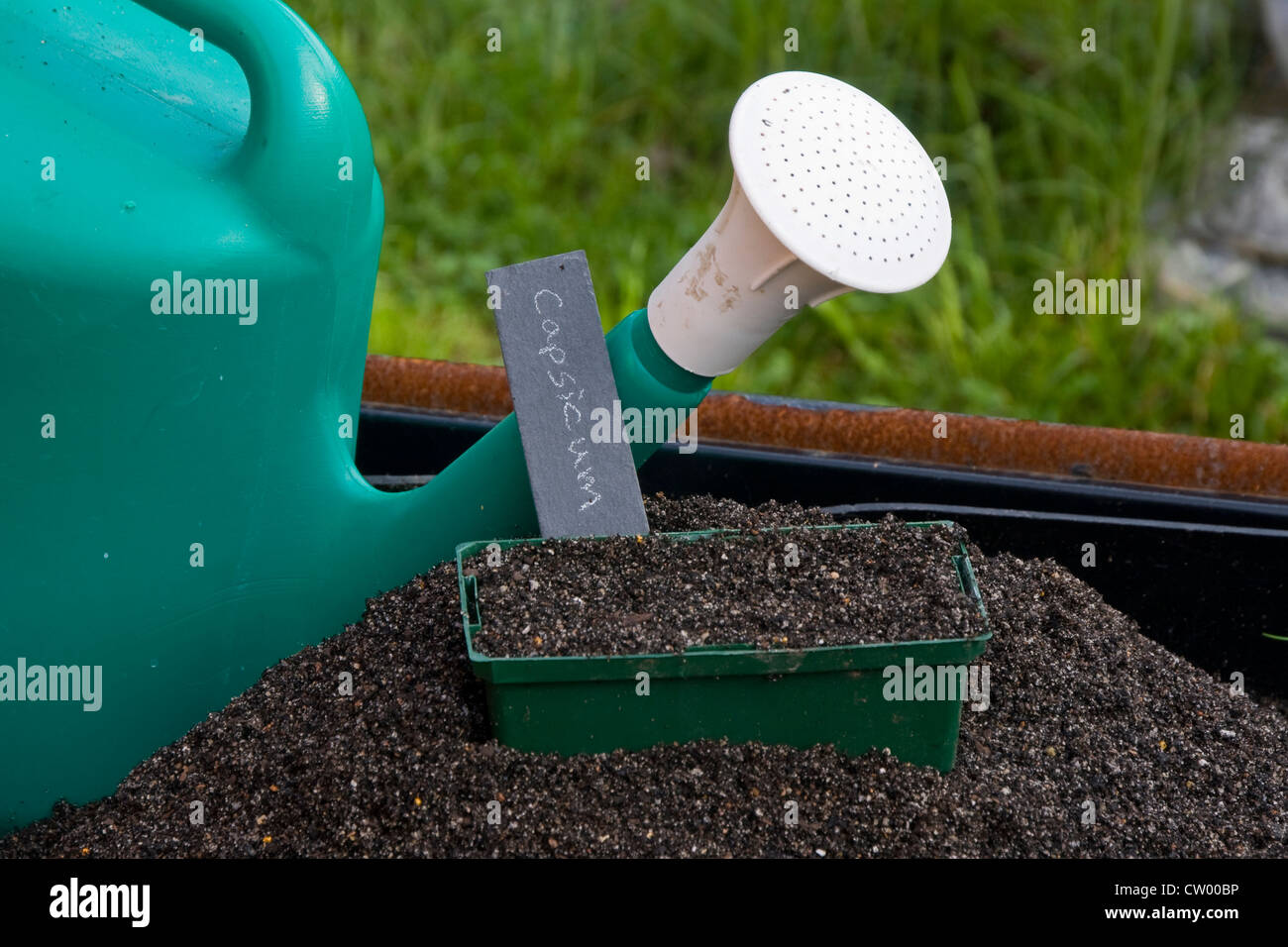 Germination media hi-res stock photography and images - Alamy