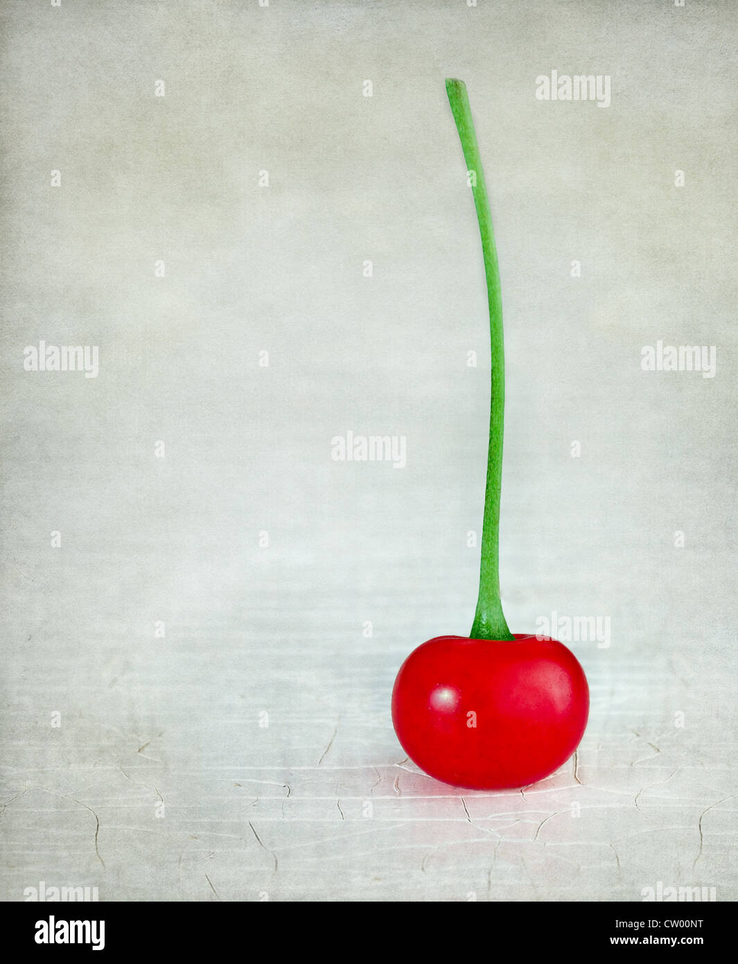 Single elegant cherry on a rustic textured wooden light background ...