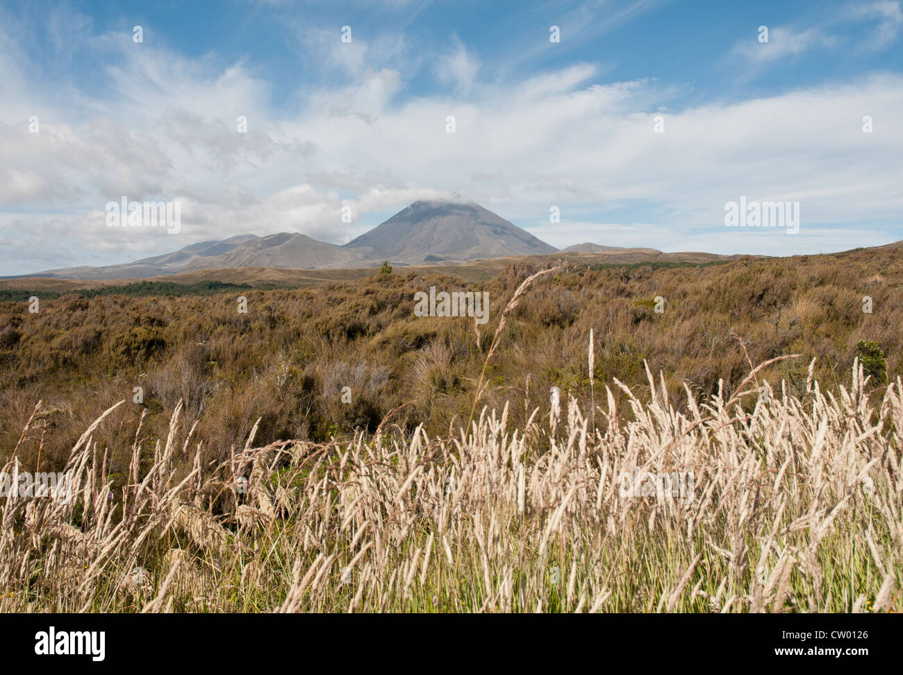 The Tongariro National Park in New Zealand. The peaks of Mount ...