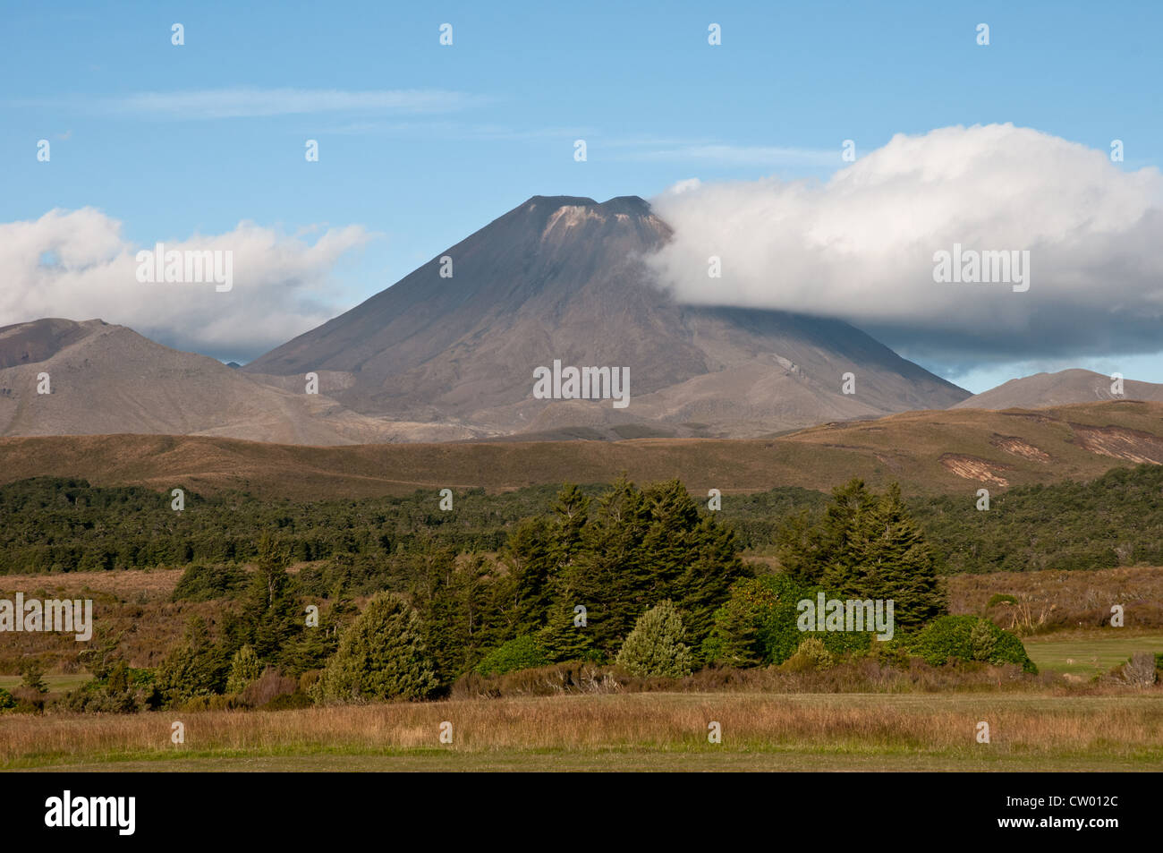 The Tongariro National Park in New Zealand. The peaks of Mount ...