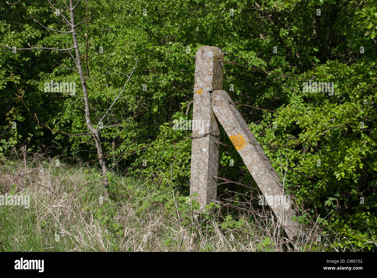 Concrete fence post in front of hedge Stock Photo - Alamy