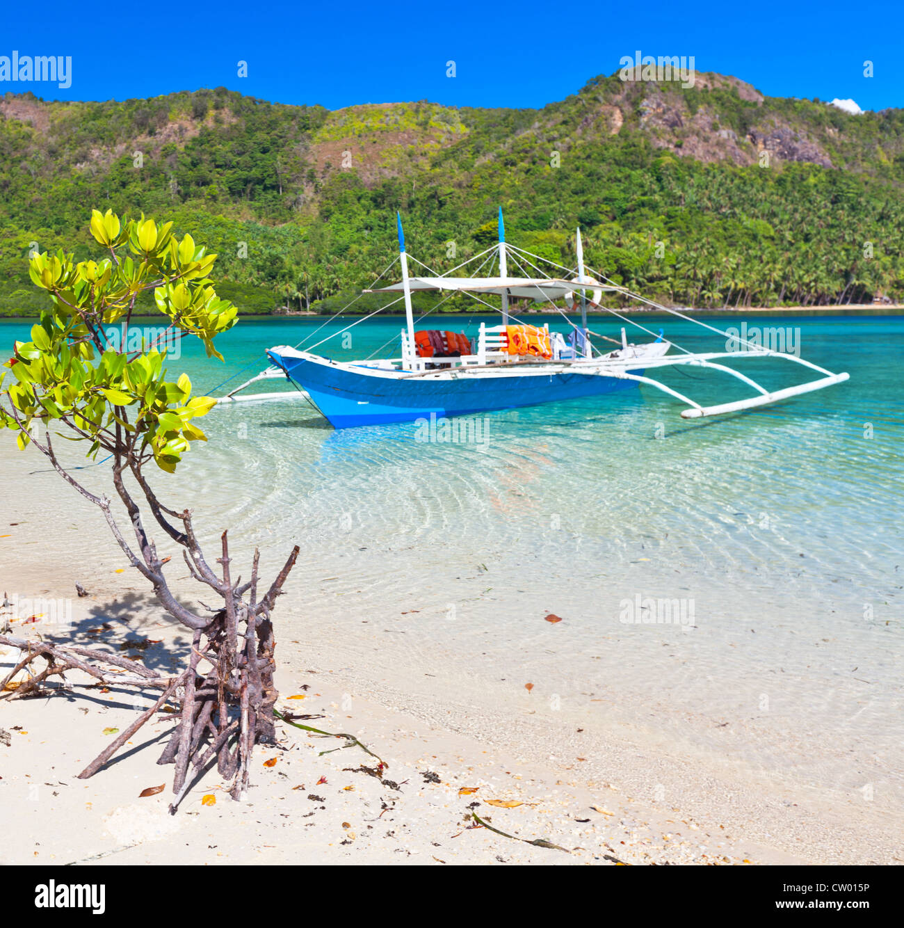 Traditional Filipino bangka boat at Snake island Stock Photo - Alamy