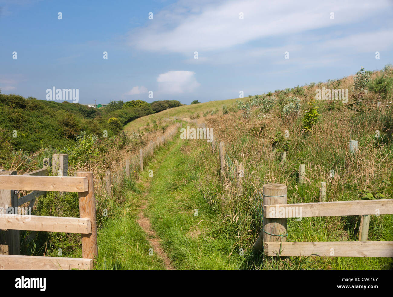 A footpath in Yorkshire England UK Stock Photo - Alamy
