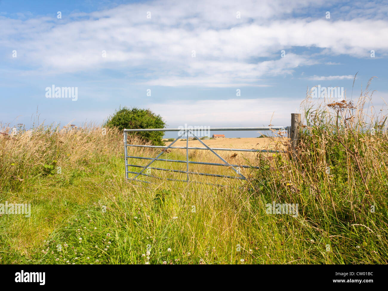 Steel farm gate hi-res stock photography and images - Alamy