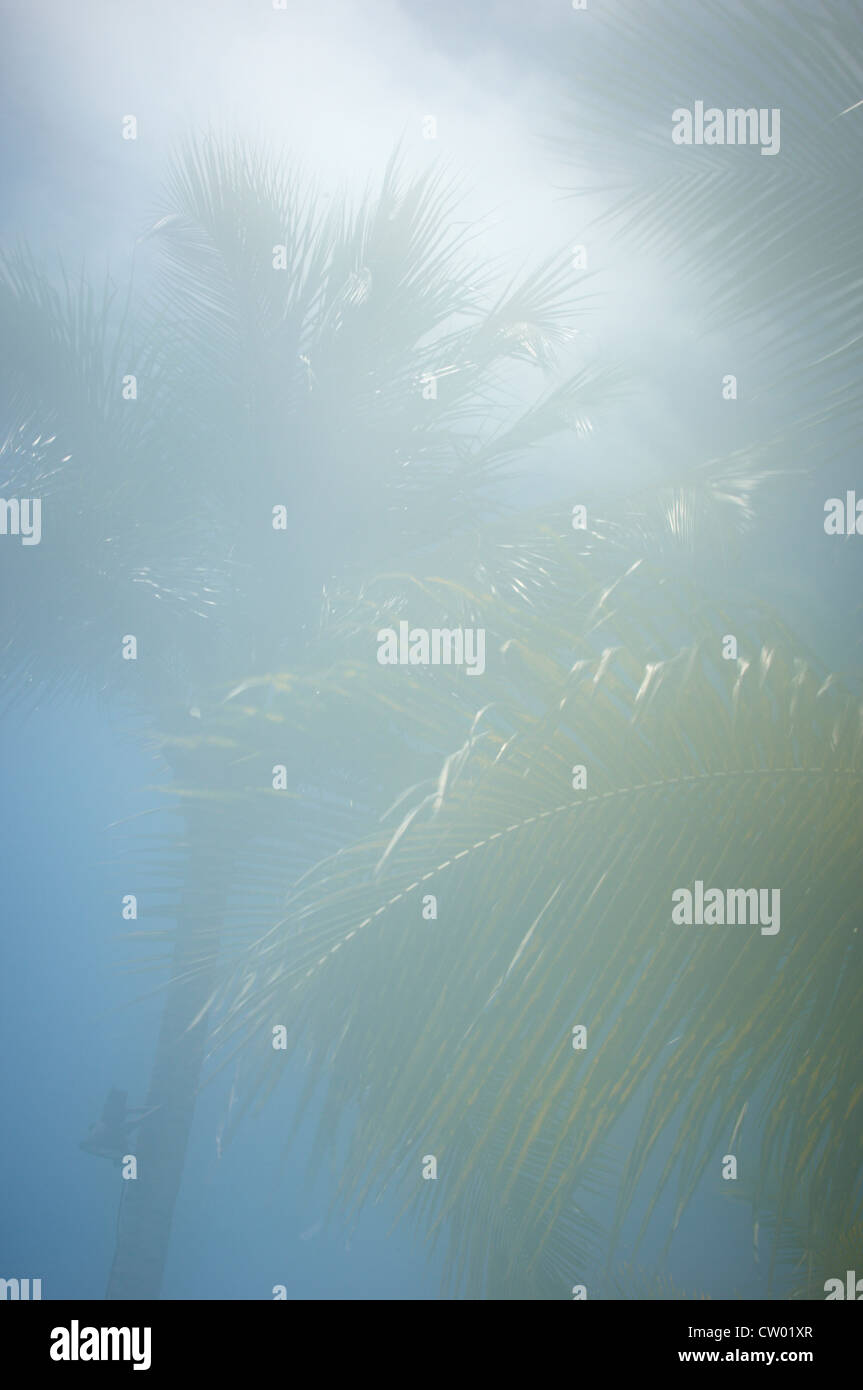 Rustling bush hi-res stock photography and images - Alamy