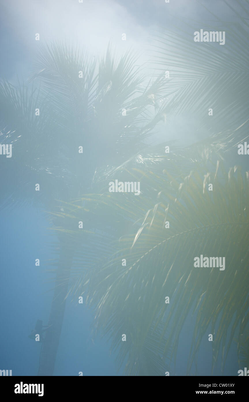 Rustling bush hi-res stock photography and images - Alamy