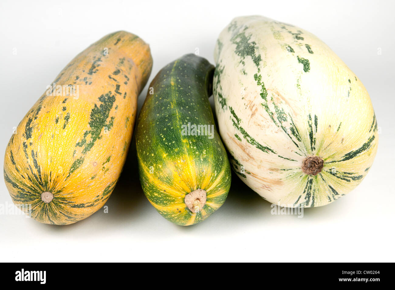 Three vegetable marrows on a light background Stock Photo - Alamy